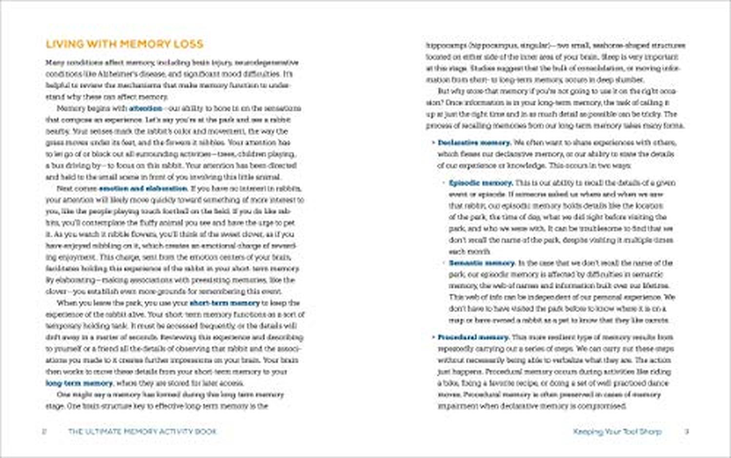 The Ultimate Memory Activity Book: 130 Puzzles and Recreational Ideas ...